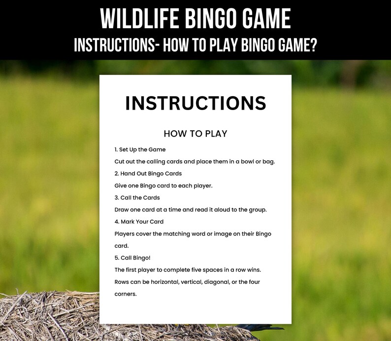 Wildlife Bingo Game, Printable Wildlife Bingo Cards, Wildlife Birthday ...