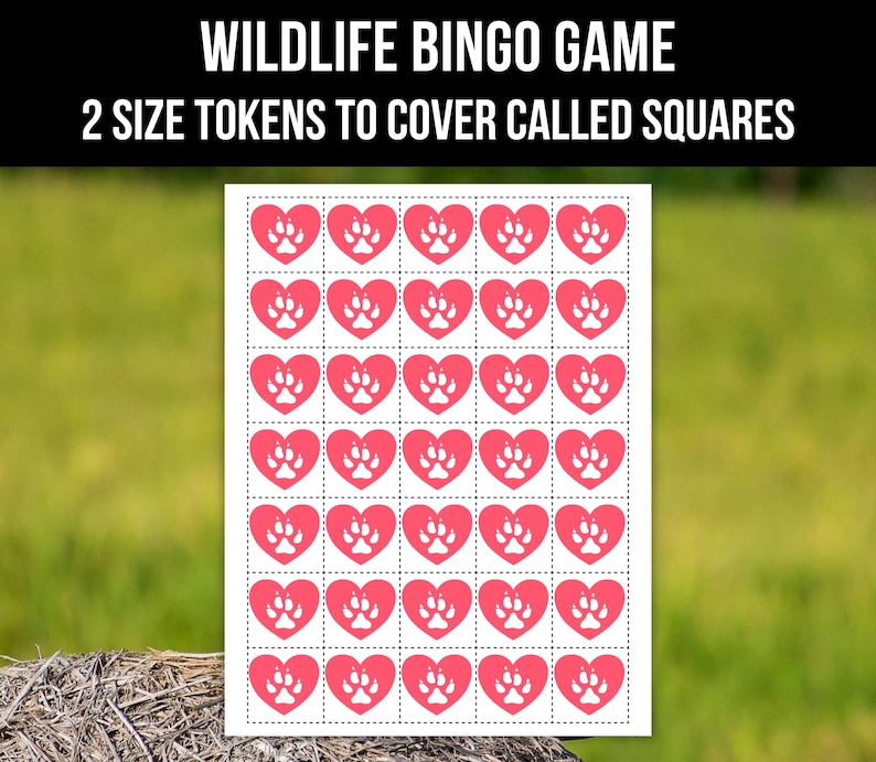 Wildlife Bingo Game, Printable Wildlife Bingo Cards, Wildlife Birthday ...