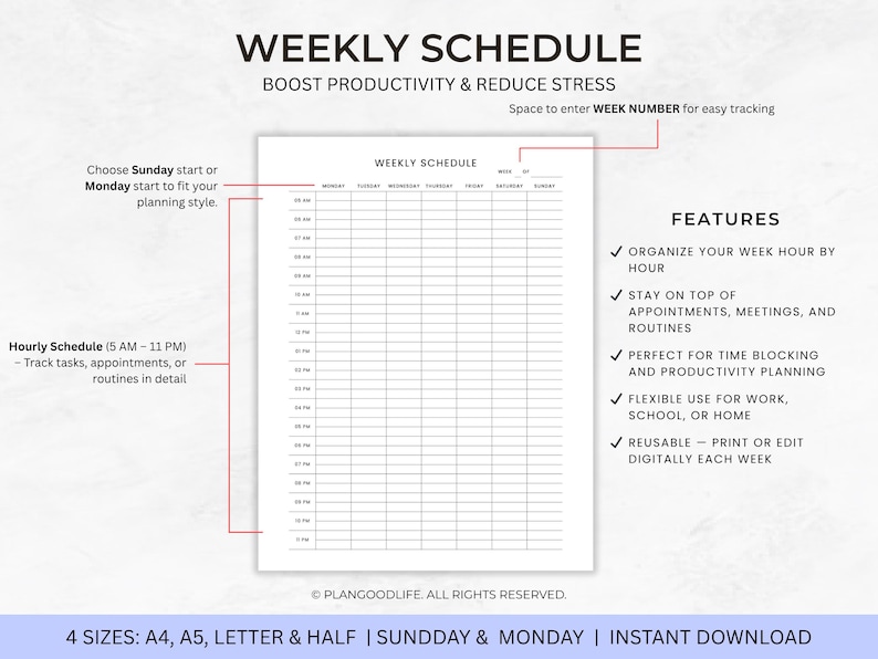 Hourly Weekly Schedule Printable, Time Blocking, Editable Time Sheet, Hour by Hour Planner ...