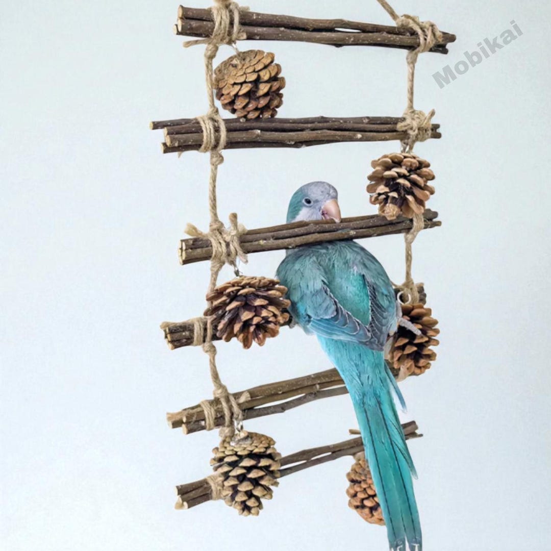 Parrot Stand Swing With Climbing Ladder & Chewing Toy | Wooden Perch ...