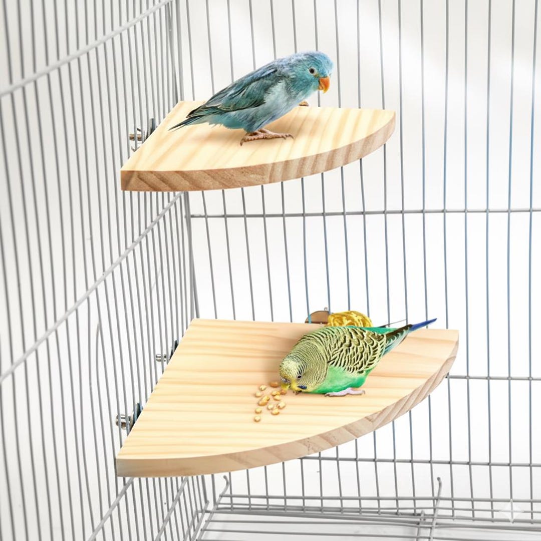 Natural Wood Corner Platform Perch for Birds & Small Animals | Fan ...