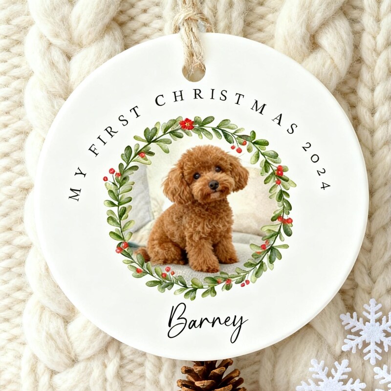 First Christmas Cat Pets - Etsy UK