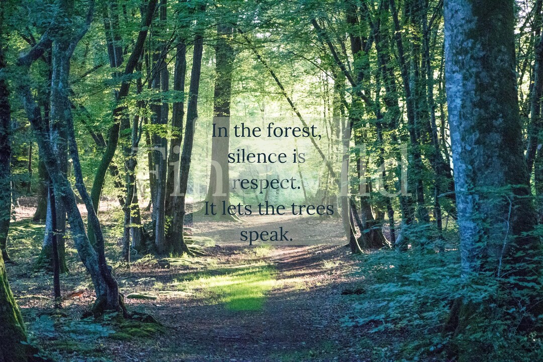 Forest Quote Printable – Nature Wall Art – 3 Languages (EN/NL/FR ...