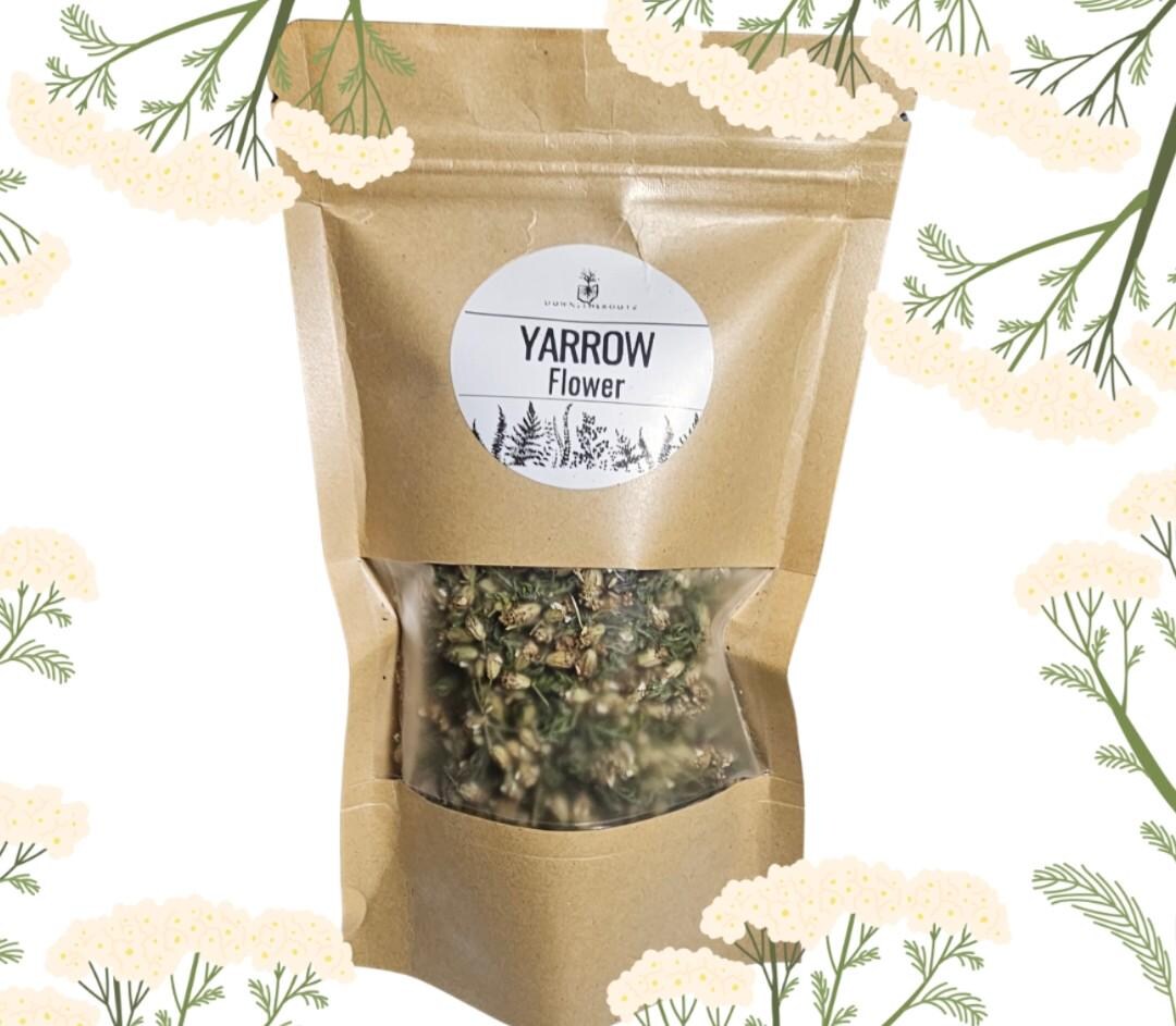 Yarrow | Achillea Millennium, Dried Yarrow | Whole Flowers | Craft ...