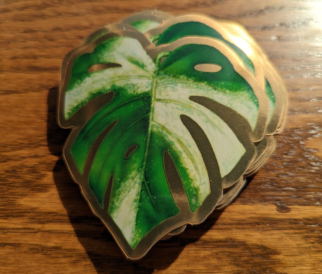 Rose Gold Variegated Monstera Deliciosa Leaf Waterproof Sticker 3 Inch ...