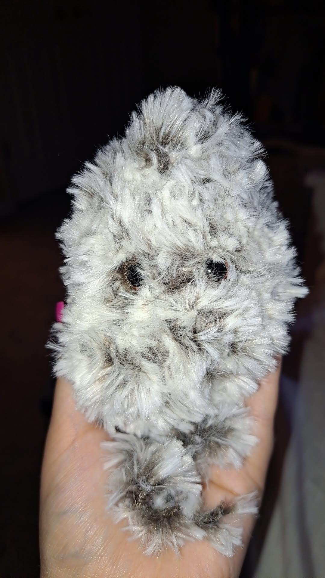 Cute Fluffy Plushies - Etsy