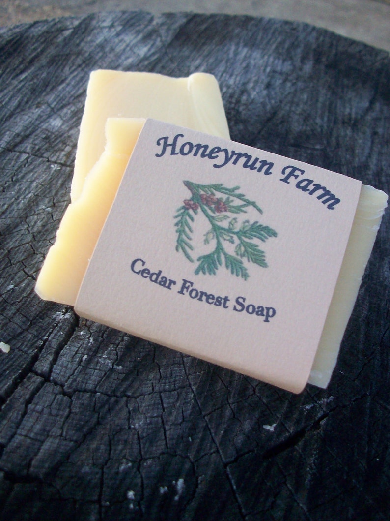 Cedar Forest Soap Natural Soap Made With Honey and Beeswax - Etsy