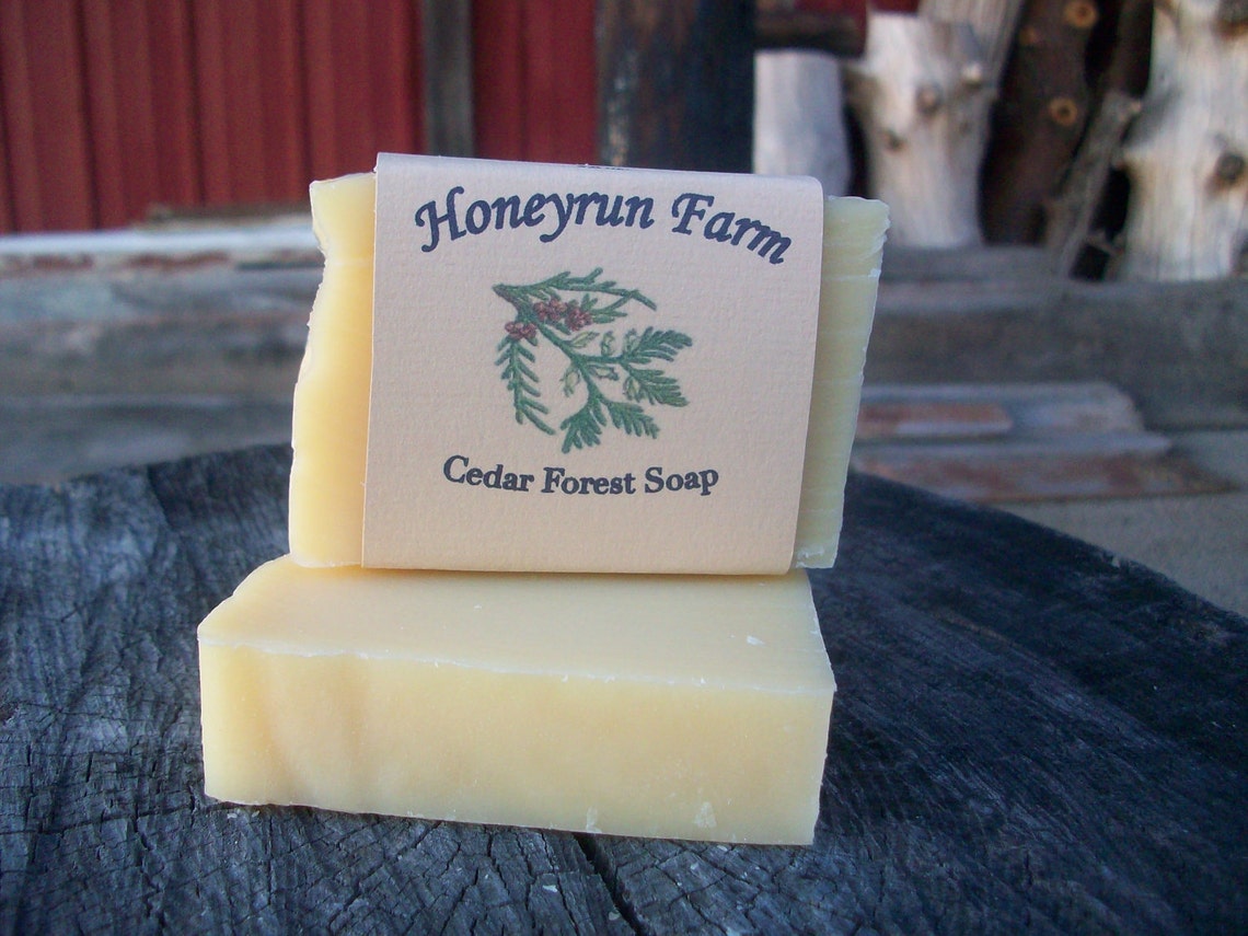 Cedar Forest Soap natural soap made with honey and beeswax | Etsy