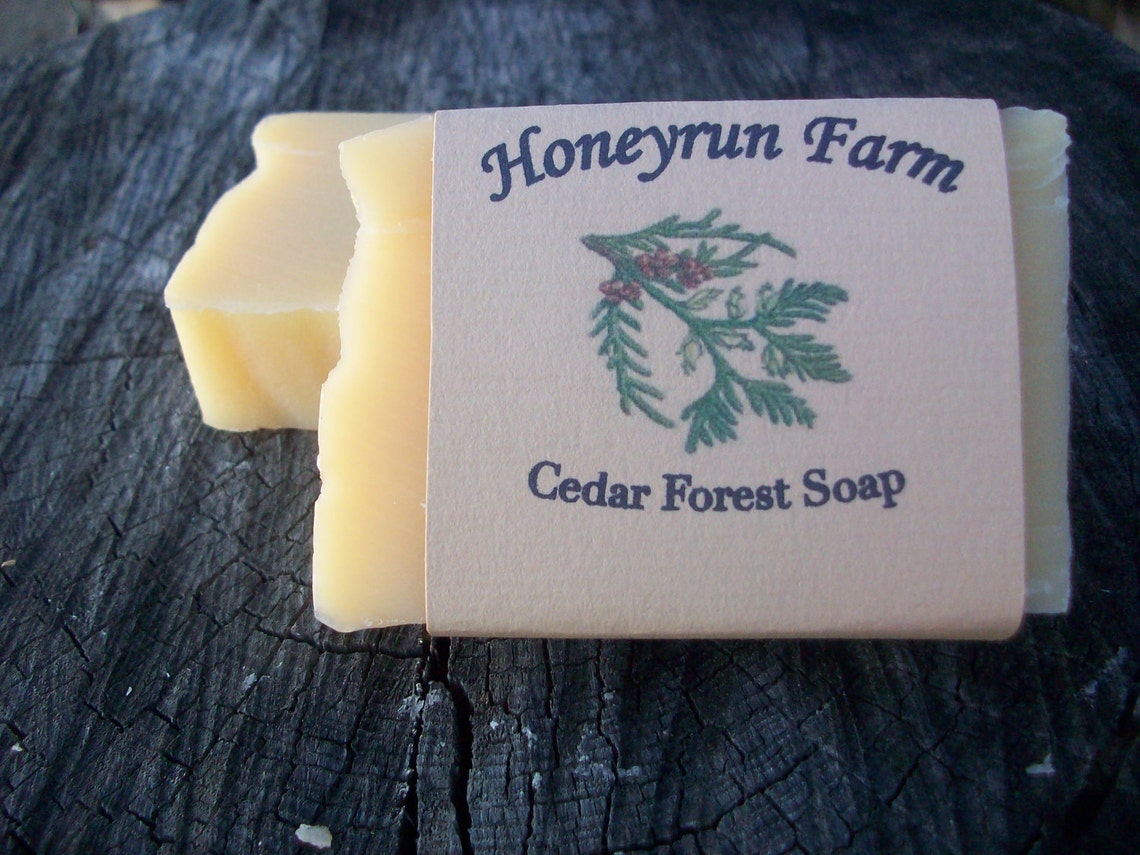 Cedar Forest Soap Natural Soap Made With Honey and Beeswax | Etsy