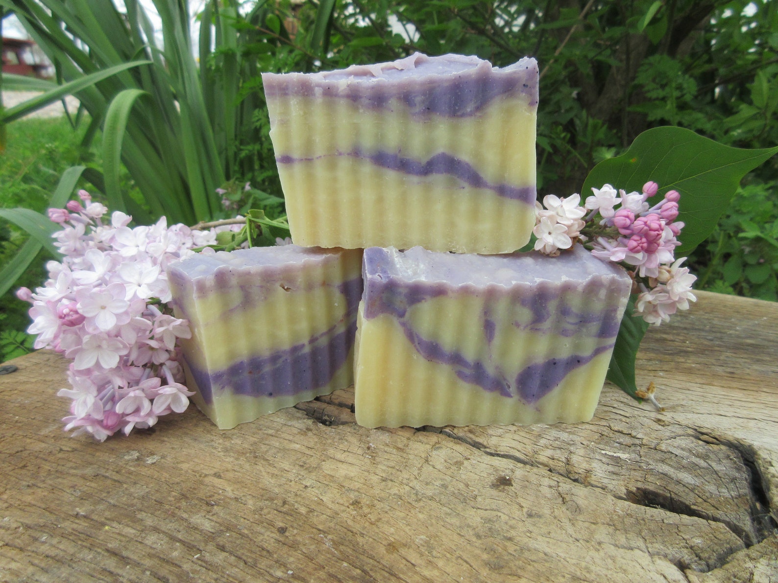 Lilac Blossom Soap Cold Processed Soap Made With Honey and | Etsy
