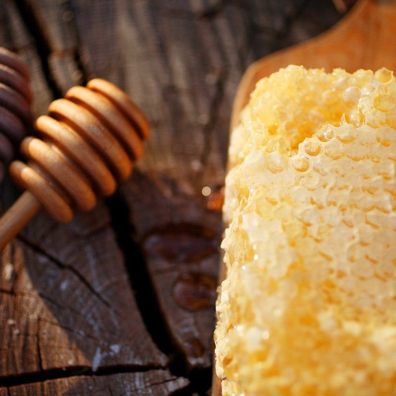 Honey Comb Candy - Etsy