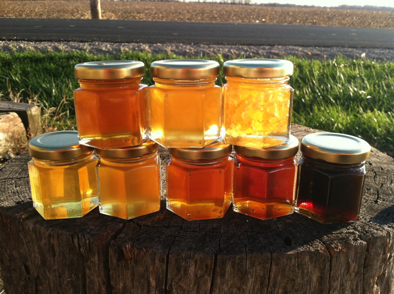 Honey Sampler 8 Varieties of Pure Raw Honey - Etsy