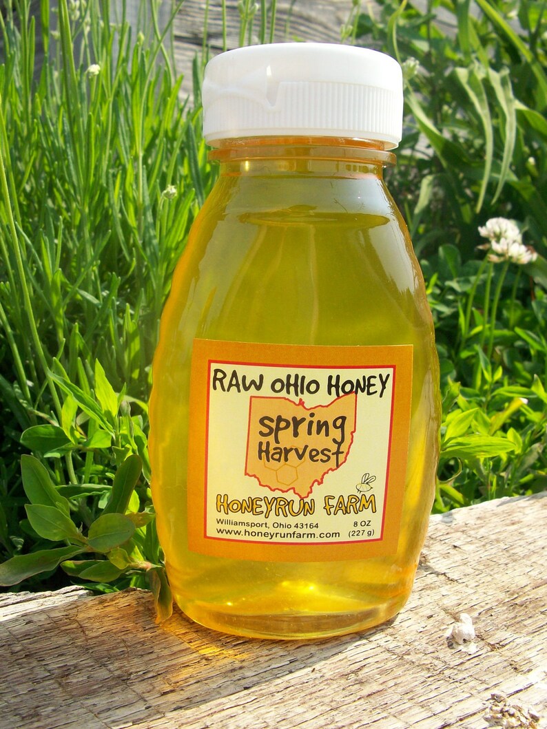 Pure Raw Spring Honey 8 Ounce Jar Nectar From Black - Etsy