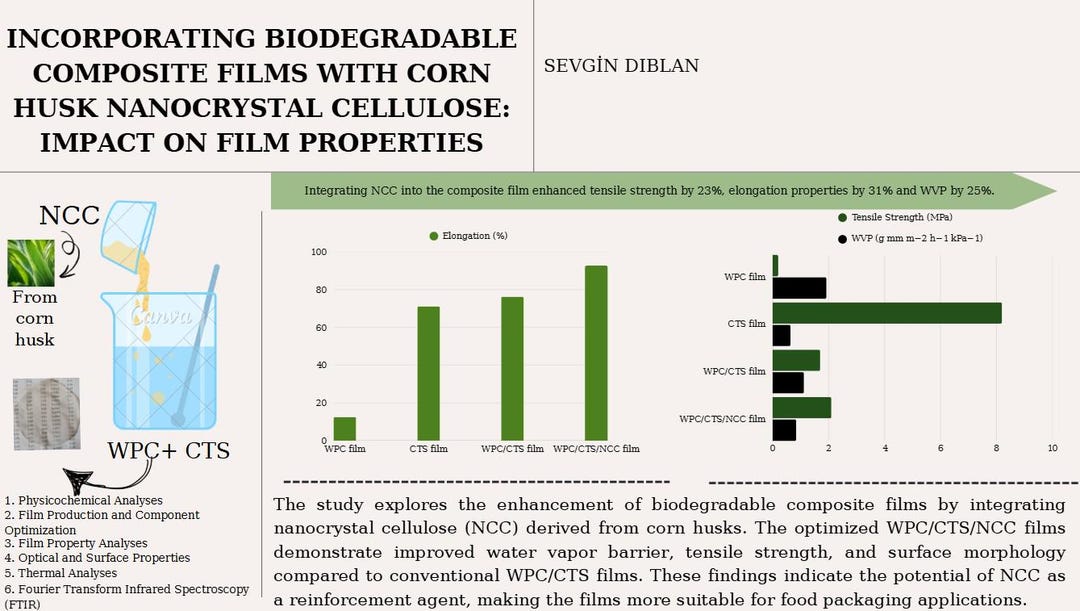 Graphical Abstract Template | Editable Scientific Illustration | Canva ...