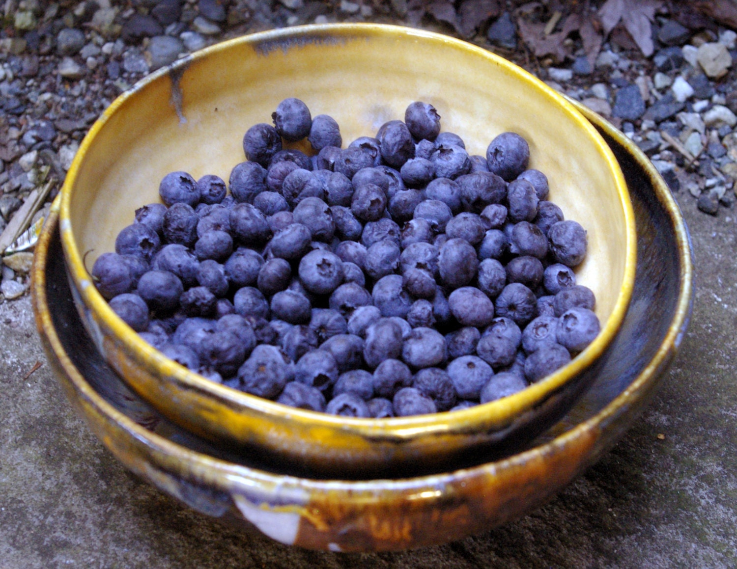 Berry Bowl With Earth Rainbow Details. - Etsy