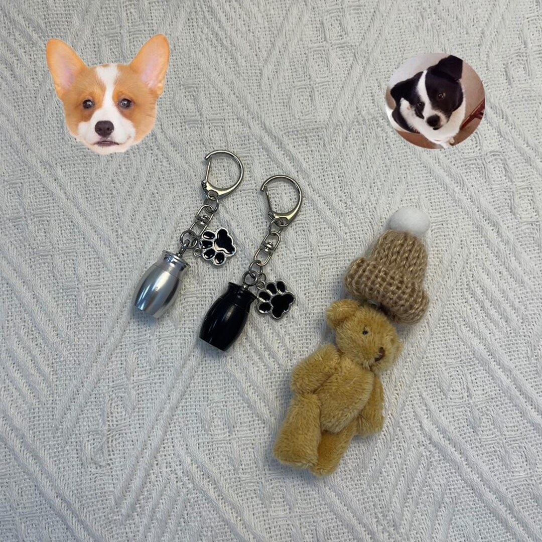 Engraved Mini Pet Urn, Dog Ash Keepsake, Sympathy Gift - Etsy