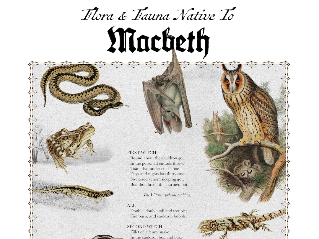 Macbeth Witches' Chant Art Print: Shakespeare Literary Collage - Etsy