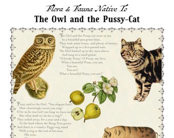Poetry Print: Owl and Pussycat Poem Art Illustration - Etsy UK