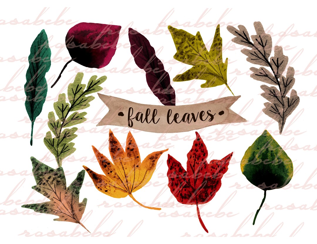 Fall Clipart, Hand Painted Fall Clipart, Fall Leaves Clip Art, Fall ...