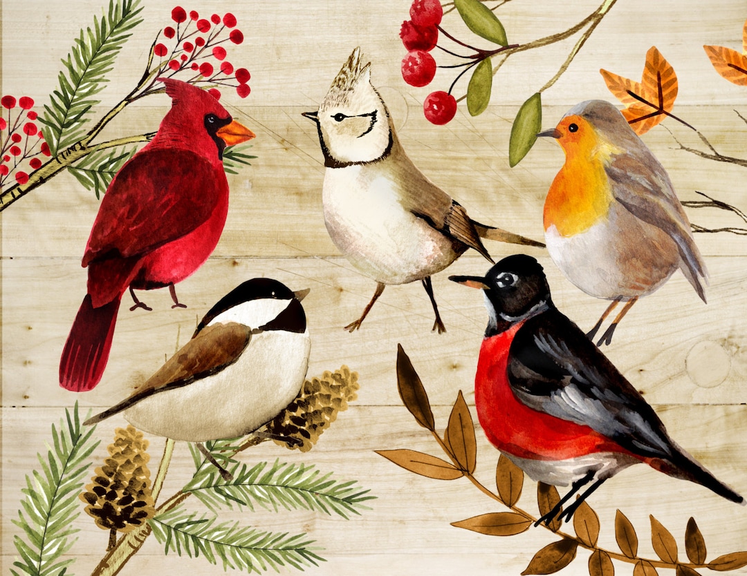Christmas Clipart, Birds Clipart, Winter Christmas Clipart, Christmas ...