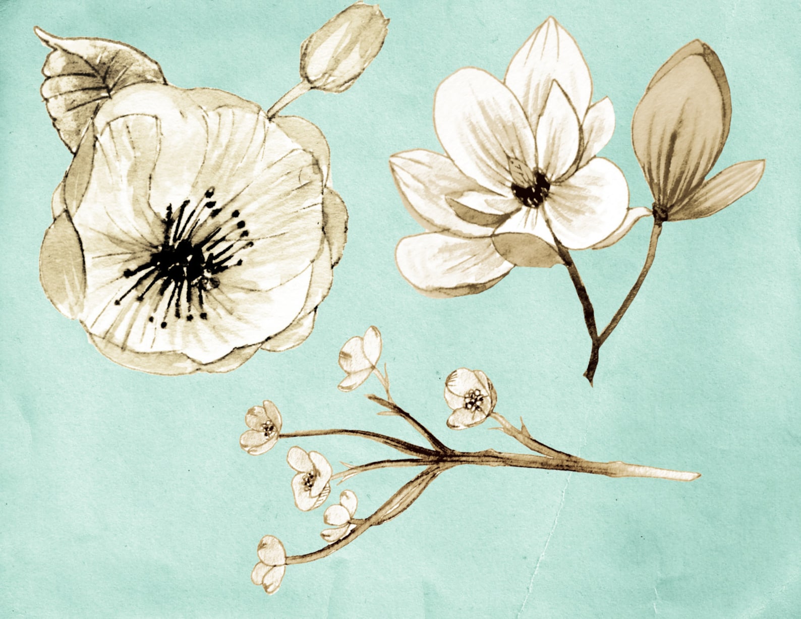 Floral Clipart Watercolor Flowers Clipart Watercolor Floral - Etsy