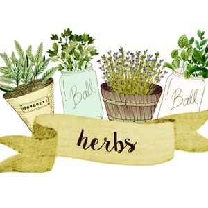 Botanical Clipart Watercolor Botanicals Clipart Gardening | Etsy