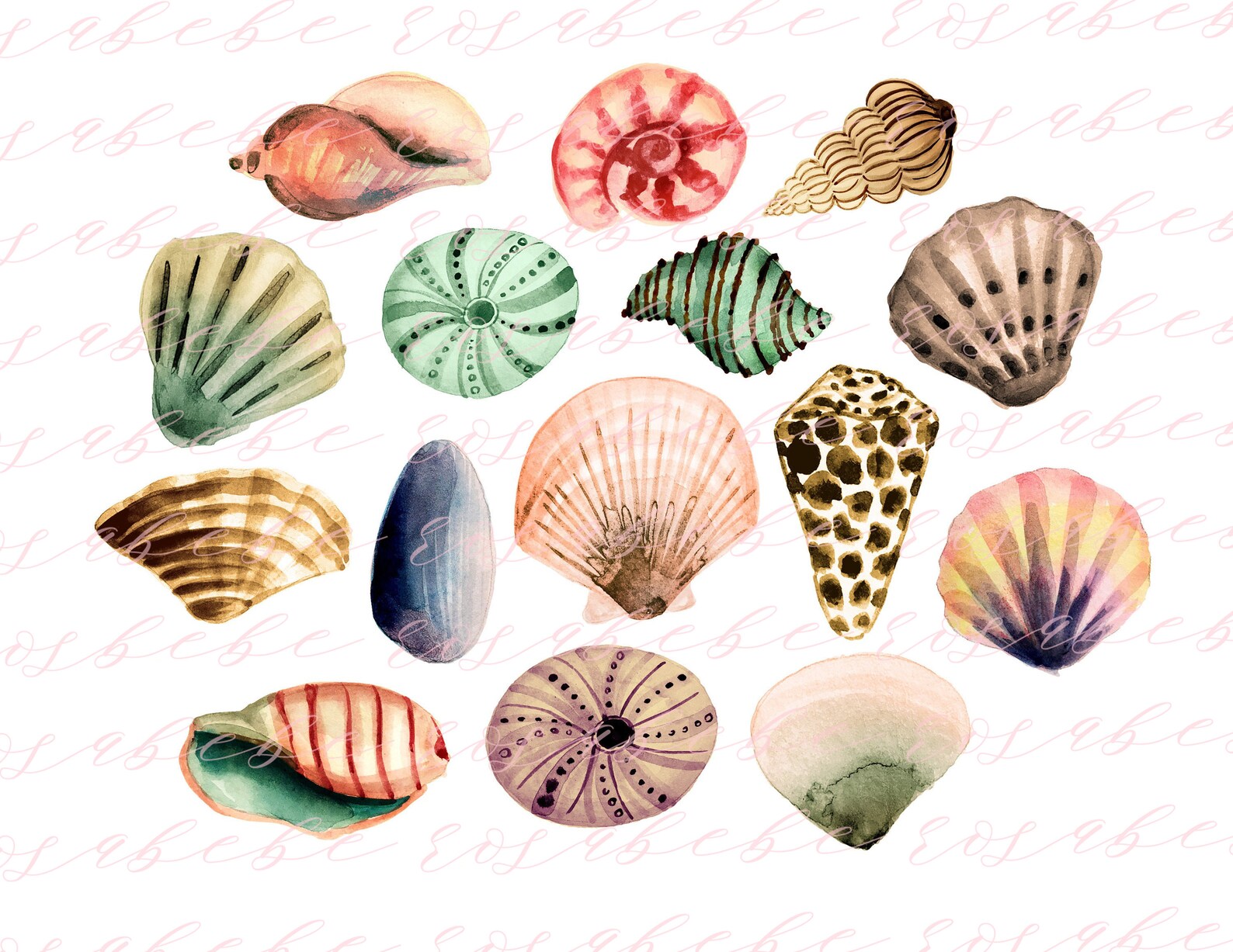 Seashell Clipart, Beach Clipart, Sea Clipart,summer Clipart, Watercolor ...