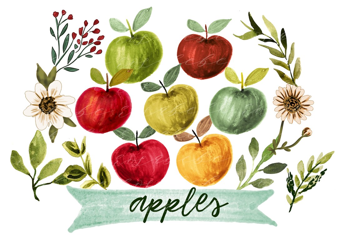 Apples Clipart, Fruit Clipart, Watercolor Fruit Clipart, Watercolor ...