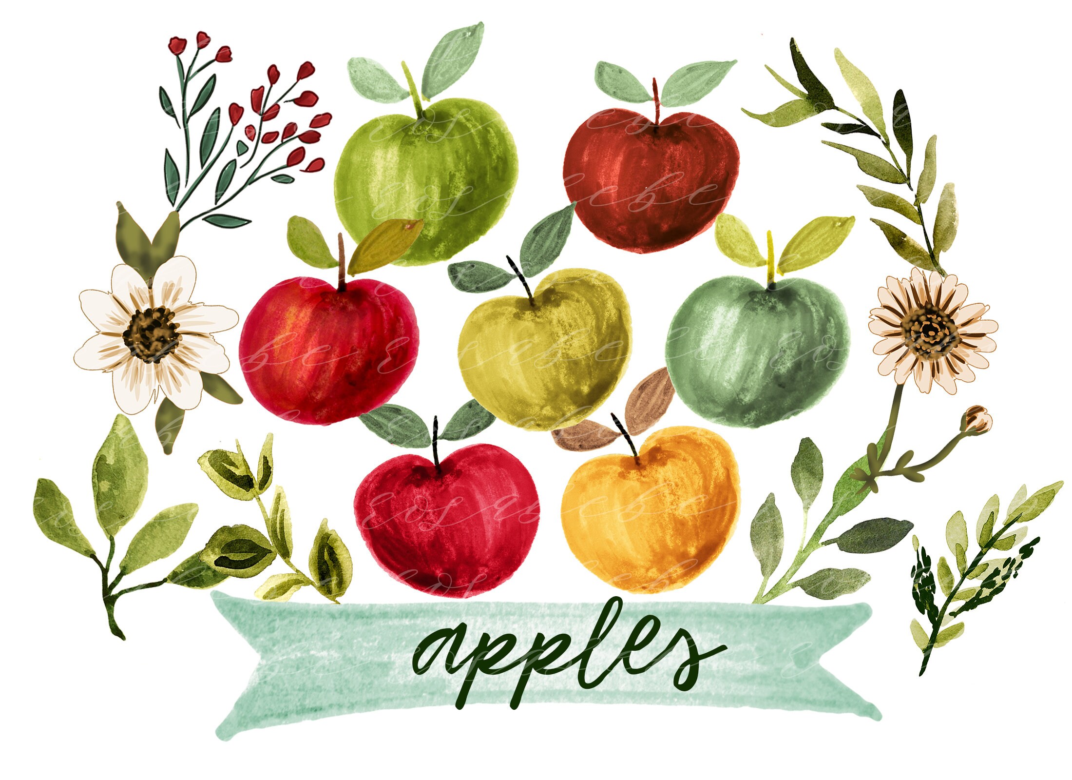 Fresh Apples Sign Clip Art