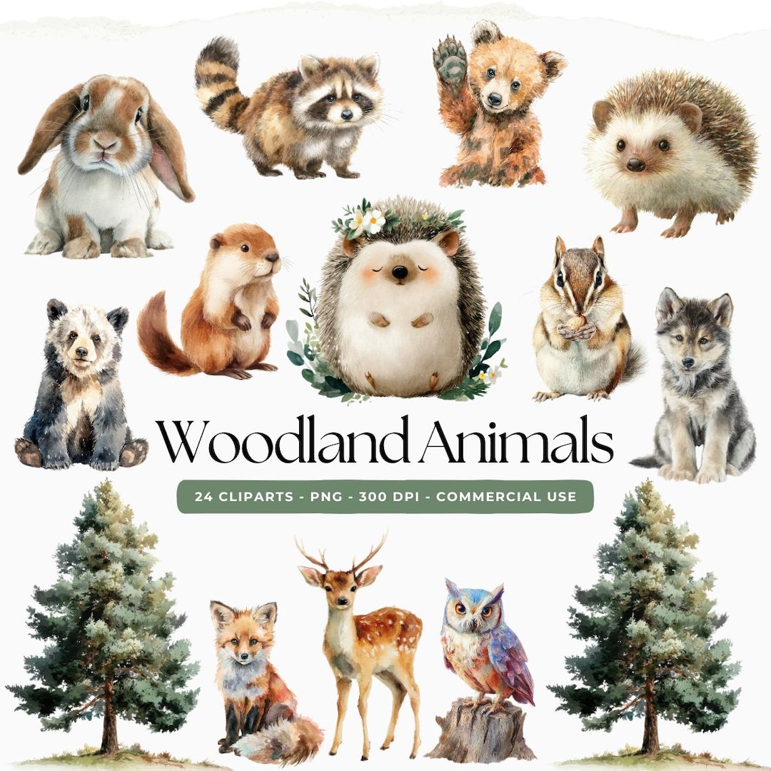 Woodland Animals Clipart, Watercolor Forest Animals PNG, Forest Baby ...