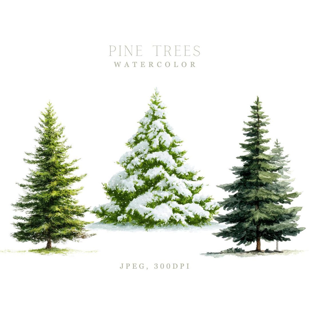 25 Watercolor Pine Tree Winter Clipart, Pine Trees Clipart, Snowy ...