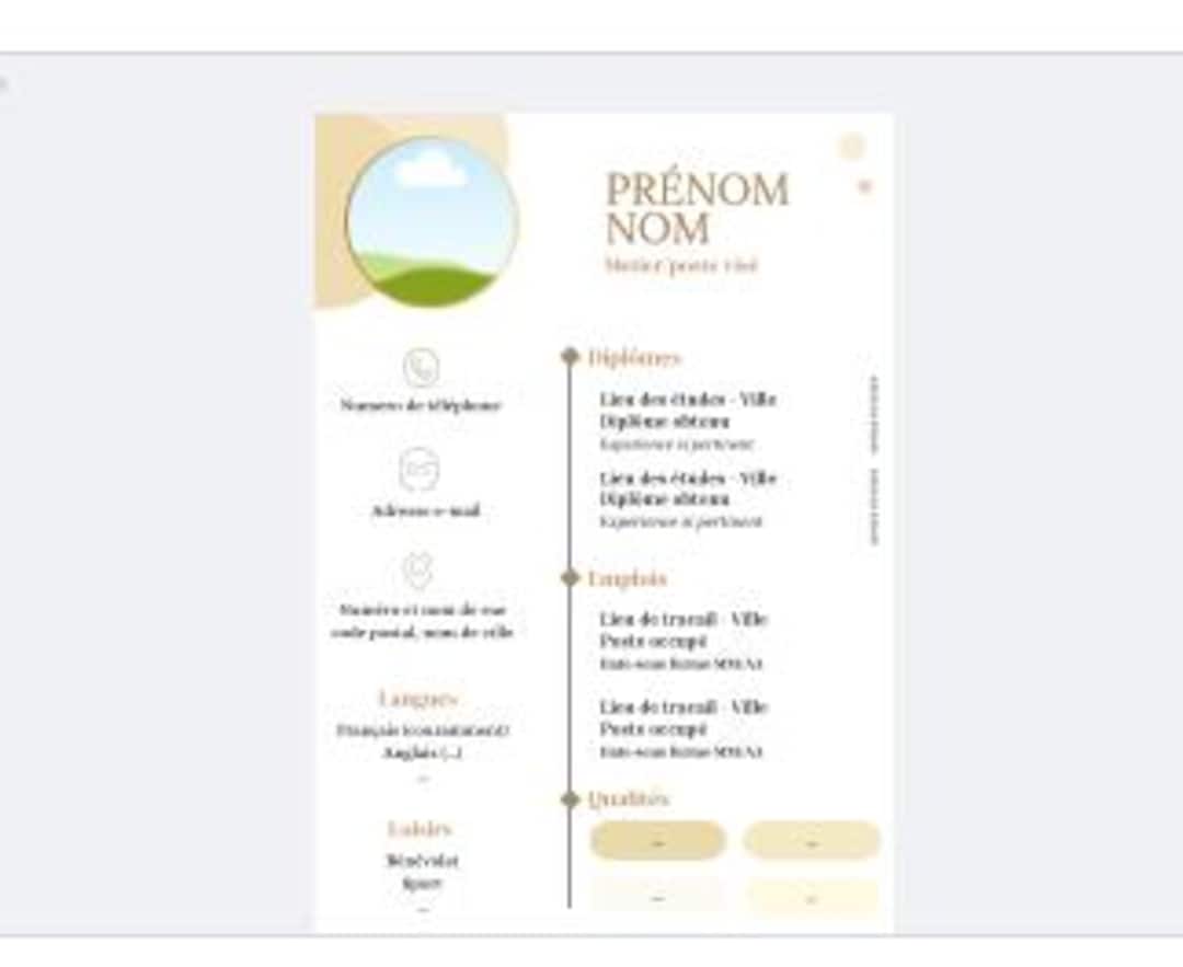 Customizable, Modern and Tailor-made CV - Etsy