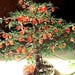 Wire Art Tree "apple Tree" Stained Glass Paints, Sculpture, Unique ...