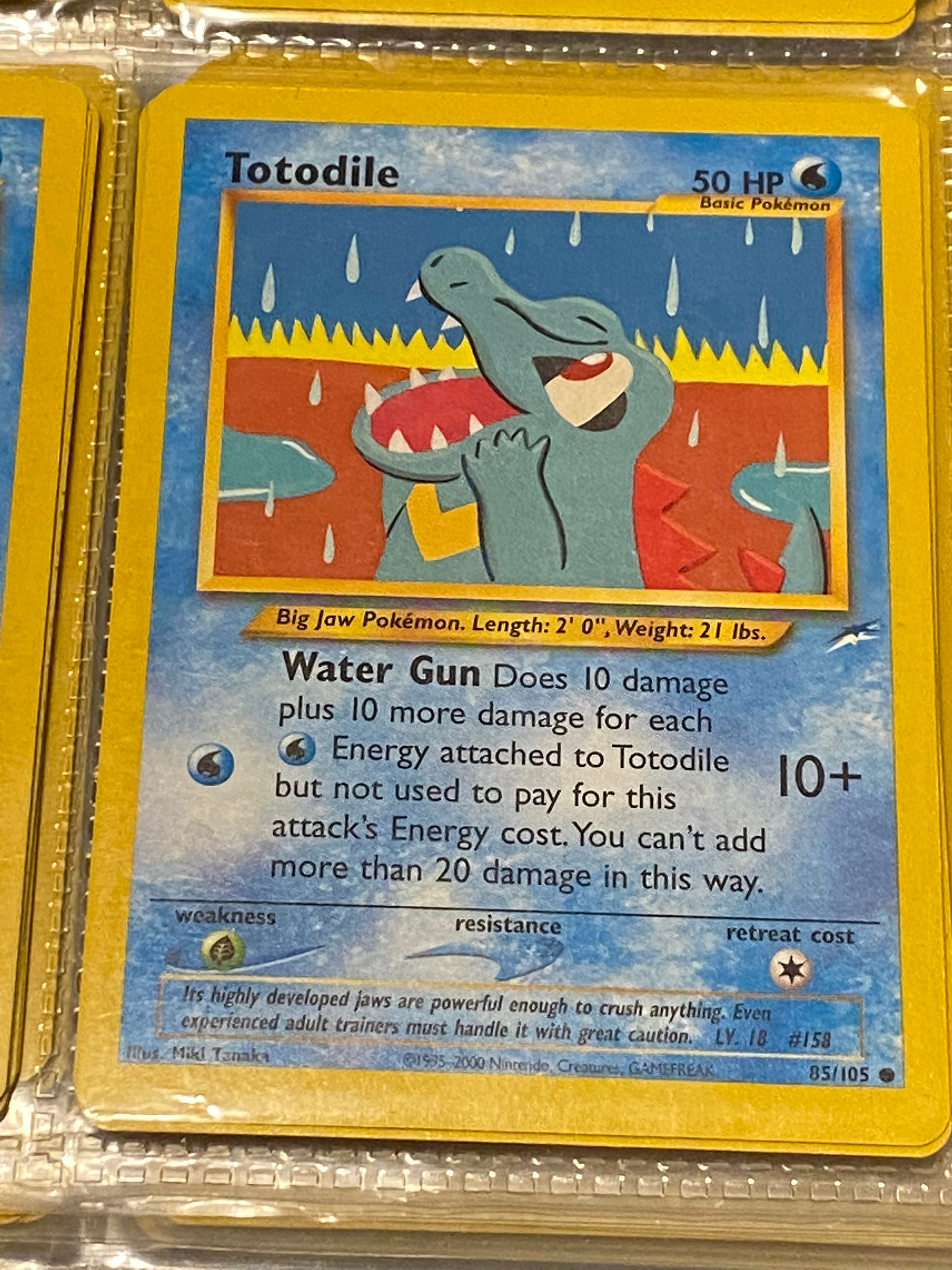 Totodile Card