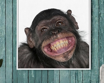 cute smiling monkey