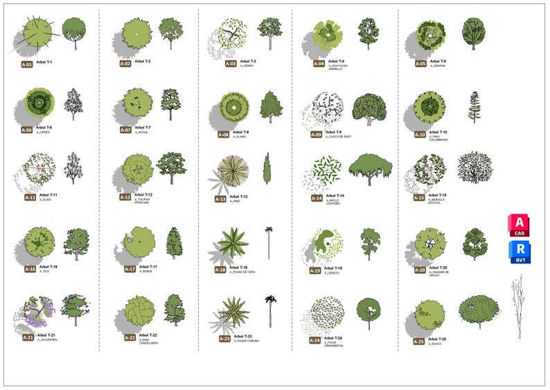 SET 04 – Revit (2023) & Autocad 2D Trees Pack – 26 Architectural Trees ...