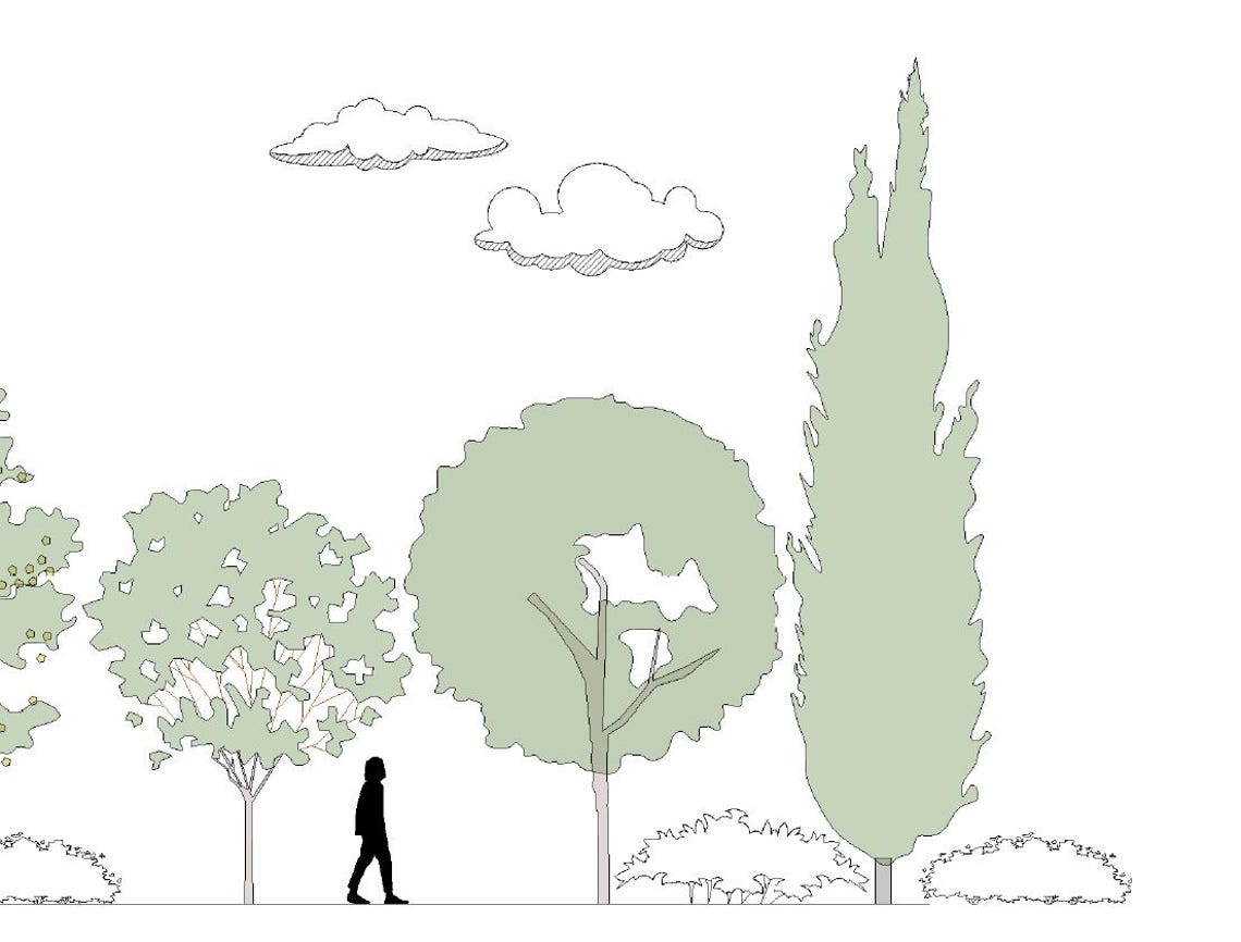 SET 02 Revit & Autocad 2D Trees Set (6 Models) – CAD Blocks for ...