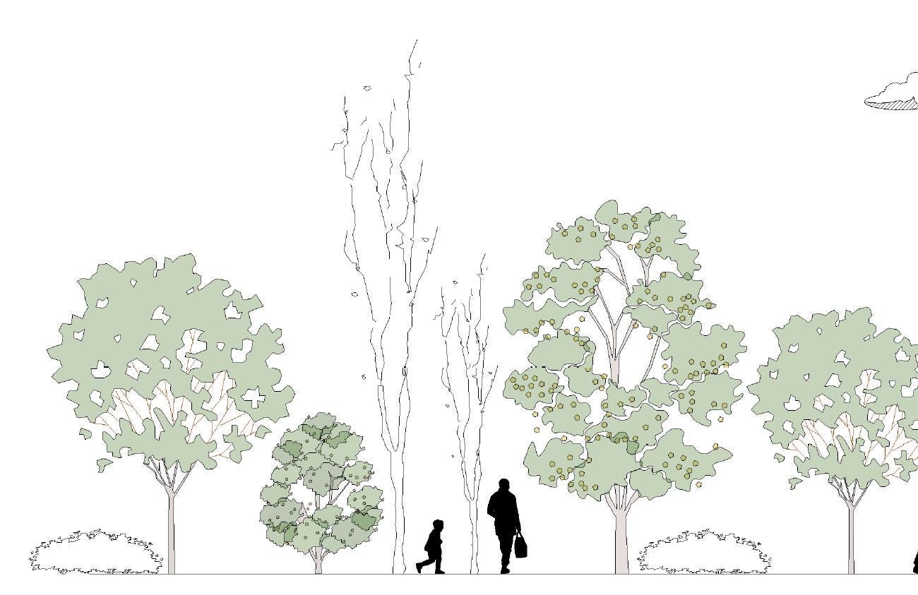 SET 02 Revit & Autocad 2D Trees Set (6 Models) – CAD Blocks for ...