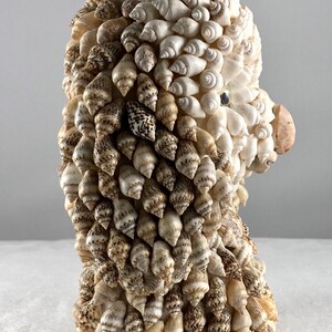 Vintage Seashell Puppy Dog Figurine Sculpture Shellcraft Folk Art - Etsy