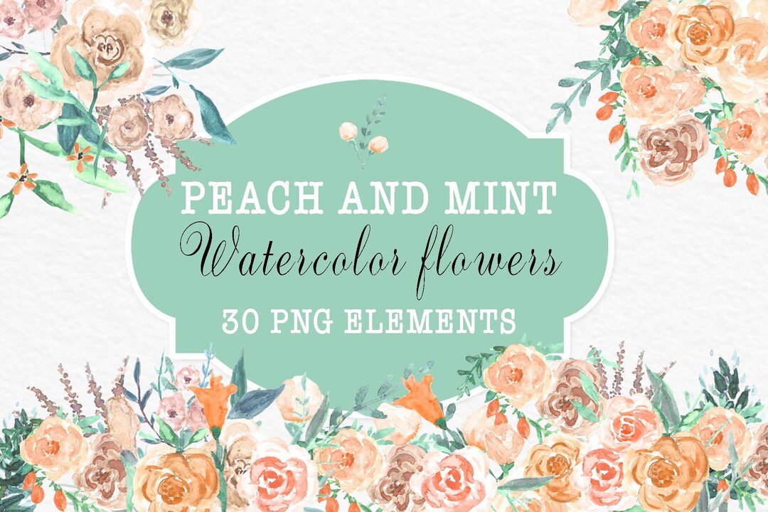 Peach and Mint Green Watercolor Flowers Clip Art Digital Graphics Hand ...