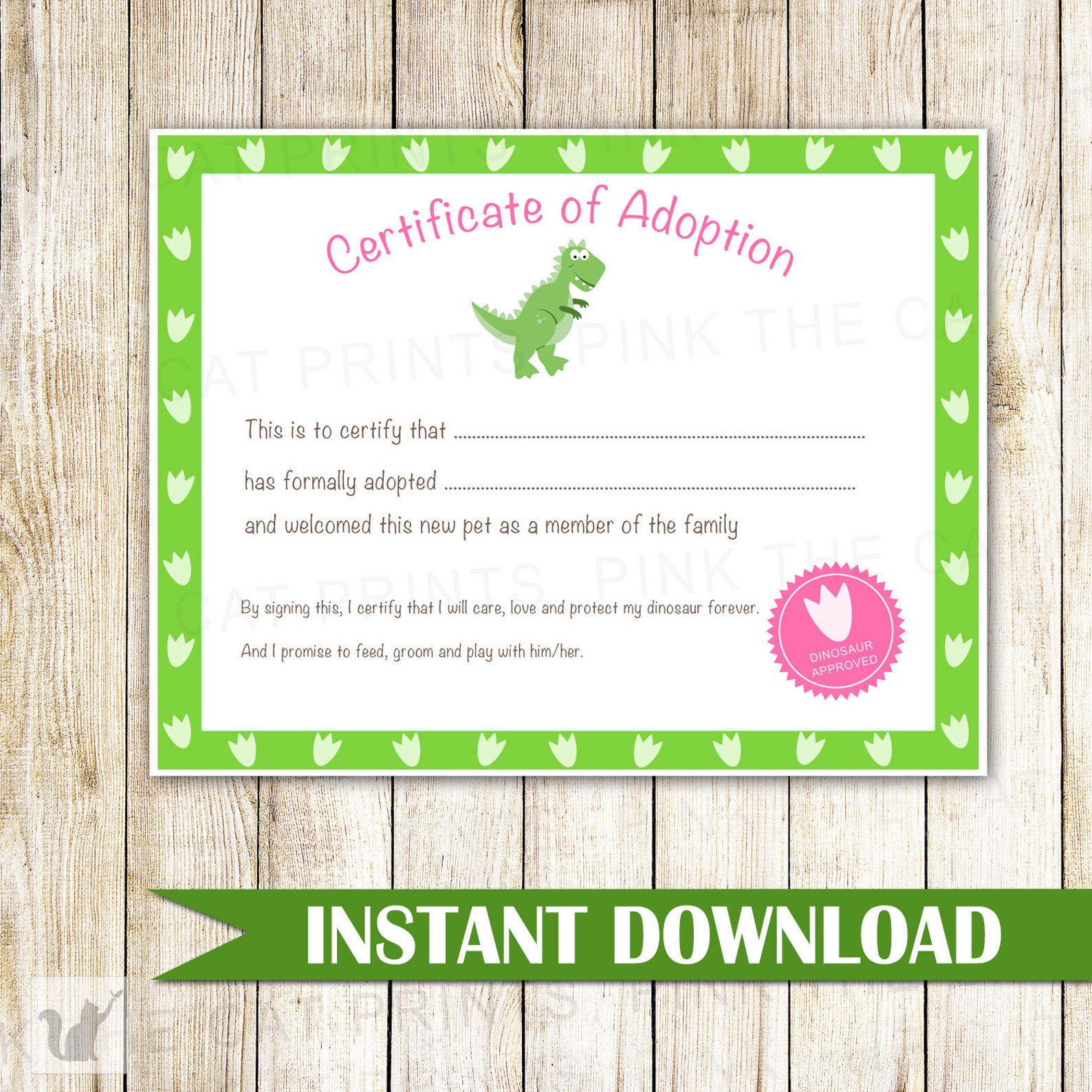 Certificate of Adoption Dinosaur Birthday Dino Party Favor - Etsy