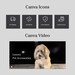 Beige Pastel Colors Pet Store, Puppy Breeding Shopify Theme ...