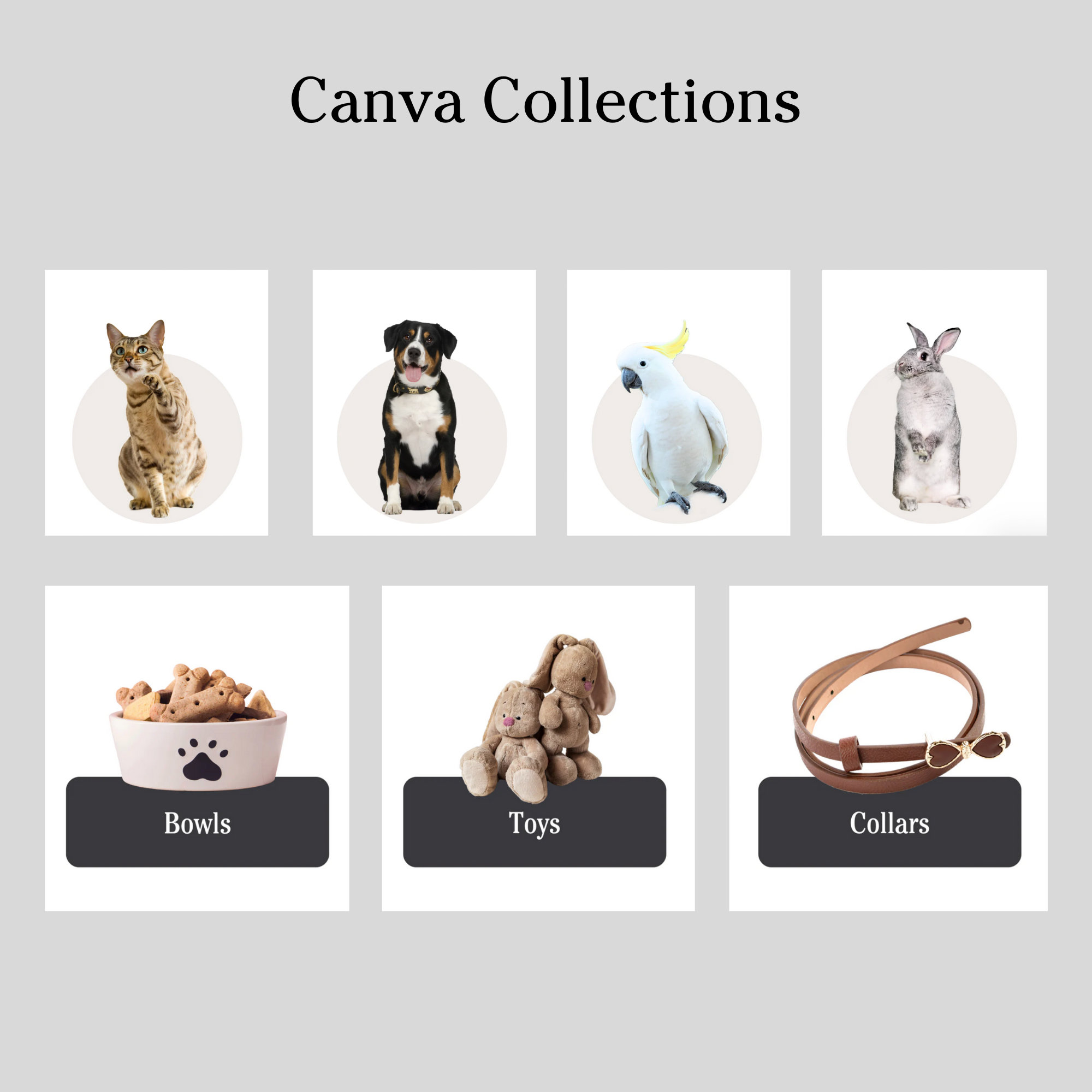 Beige Pastel Colors Pet Store, Puppy Breeding Shopify Theme ...