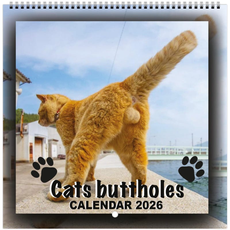 Funny 2026 Calendars - Etsy