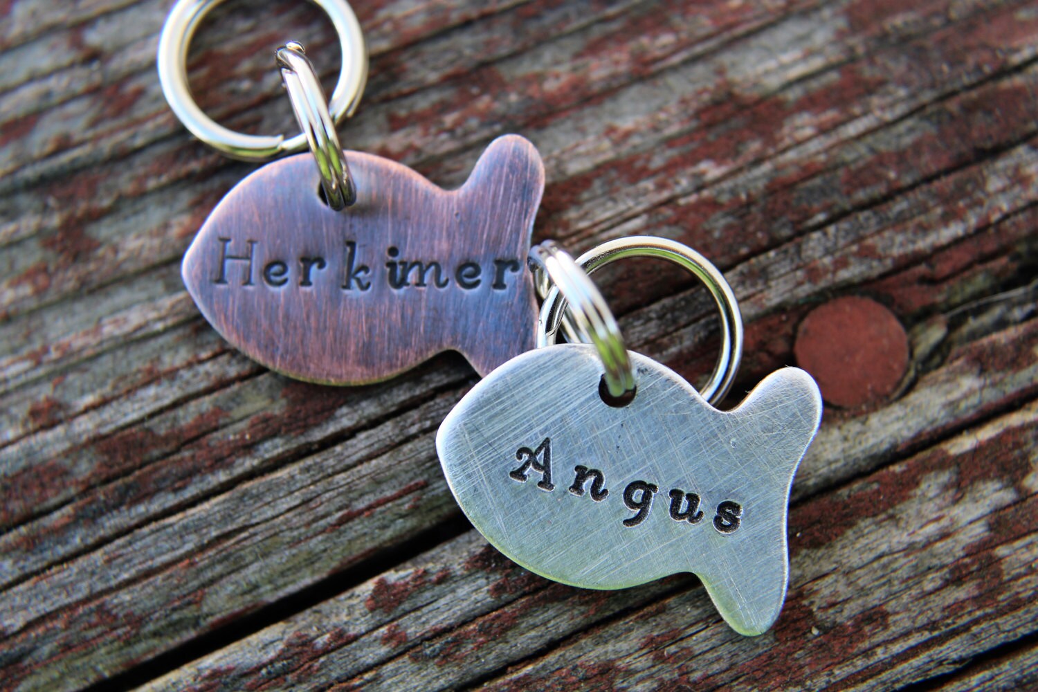 Custom Cat ID Tag-little Fish Cat Tag-tag for Kitty-hand | Etsy