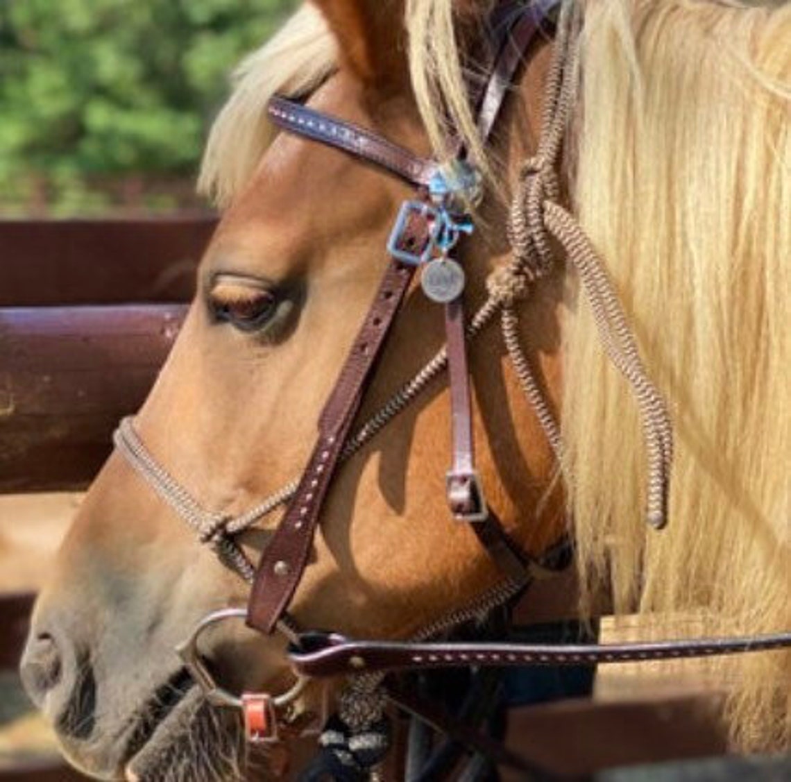 Custom Bridle Tag Two Layered Halter Tag Horse Name Tag - Etsy