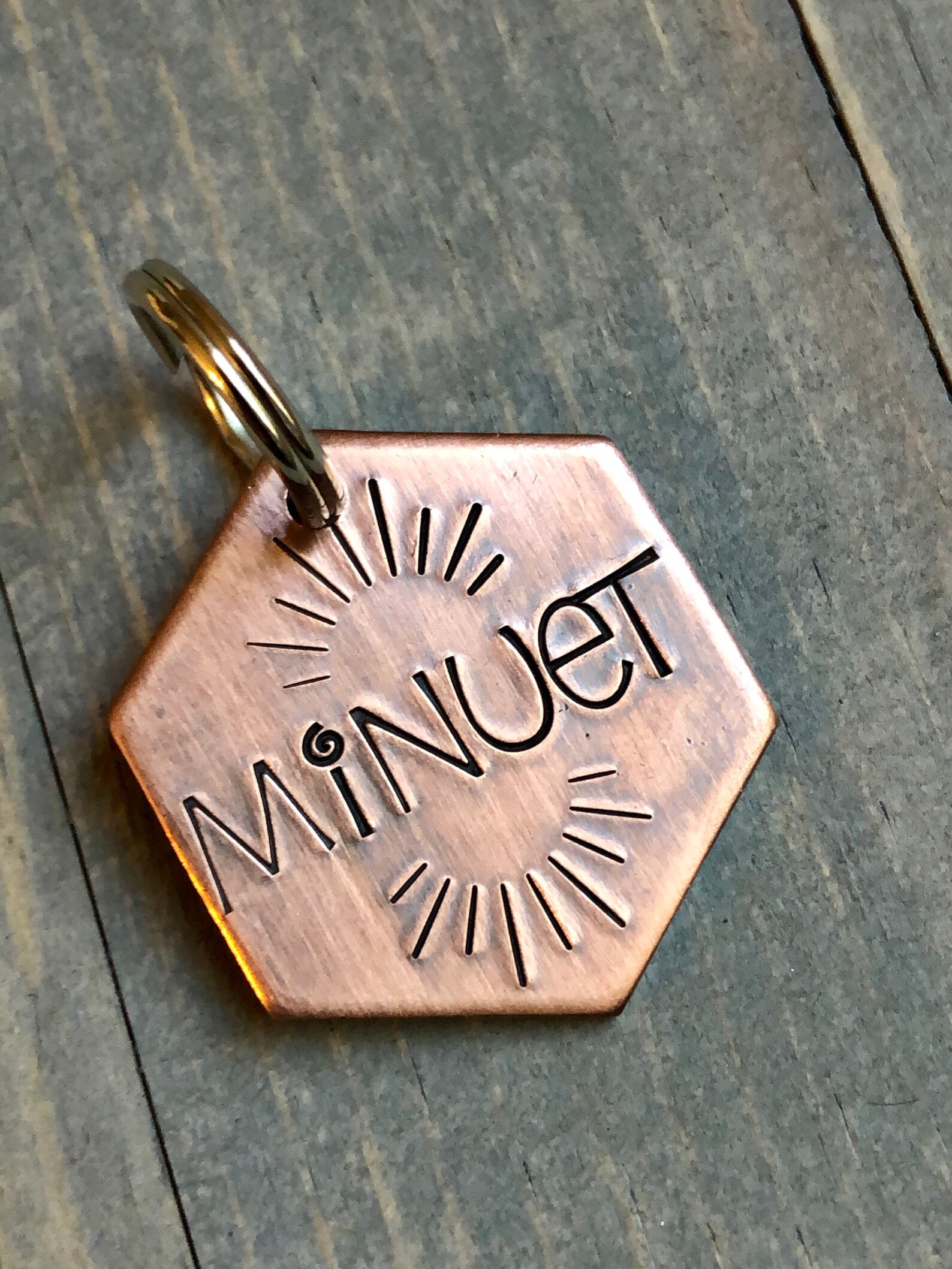 Custom Bridle Tag Halter Tag Horse Name Tag Gift for Horse - Etsy