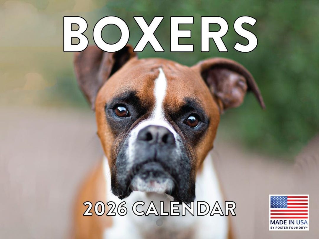 Boxer Calendar 2026 Monthly Wall Calender 12 Month | American Made in ...