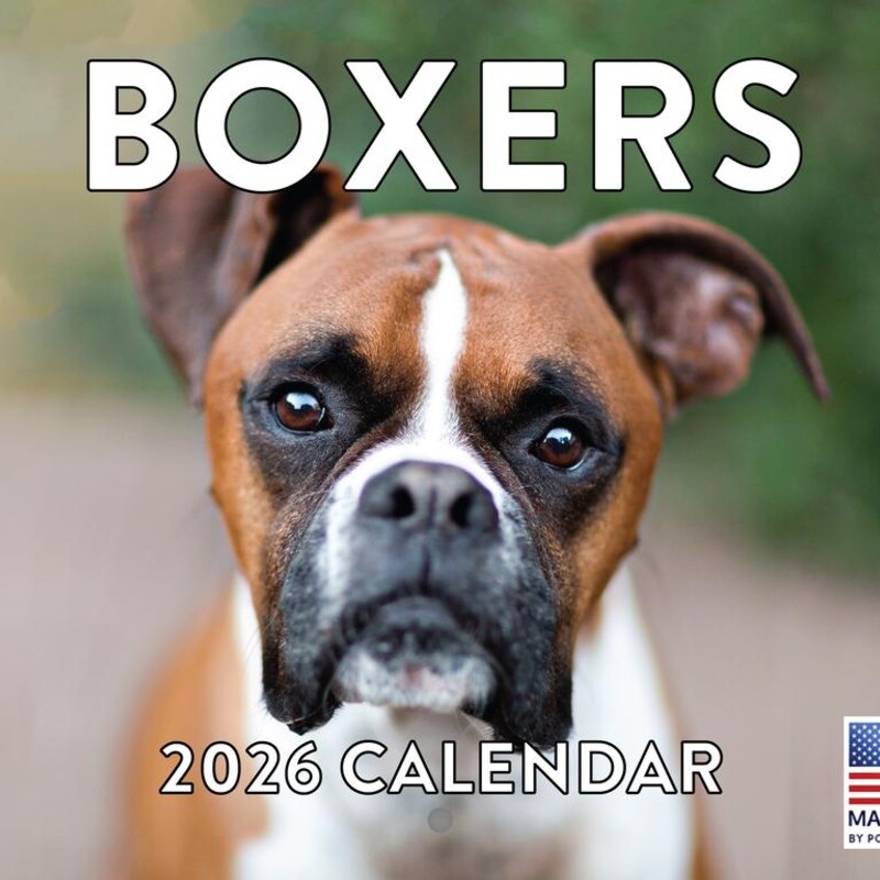 Boxer Dog Calendars 2026 - Etsy