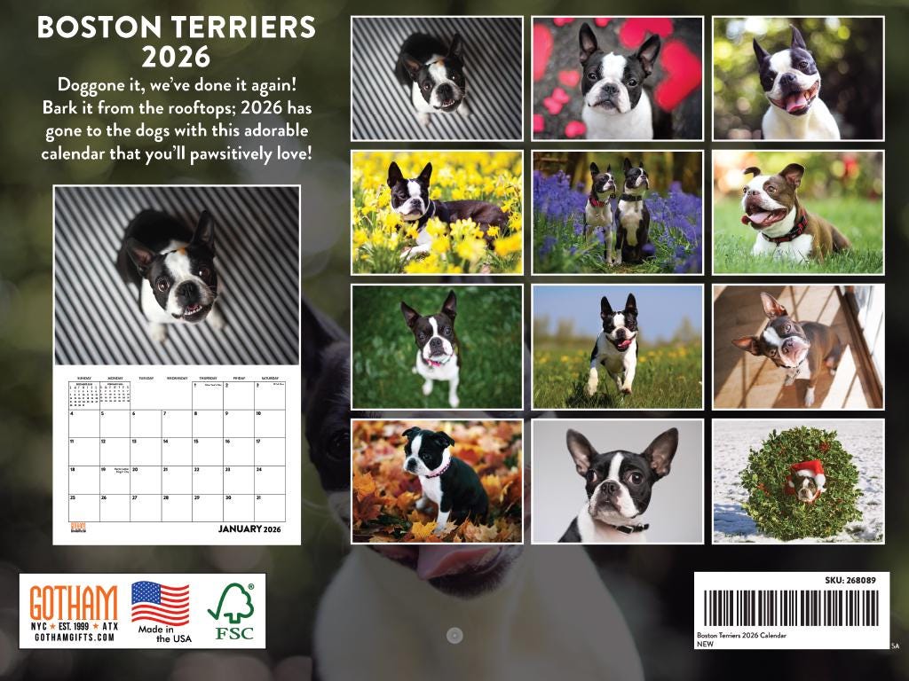 Boston Terrier Calendar 2026 Monthly Wall Calender 12 Month | American ...